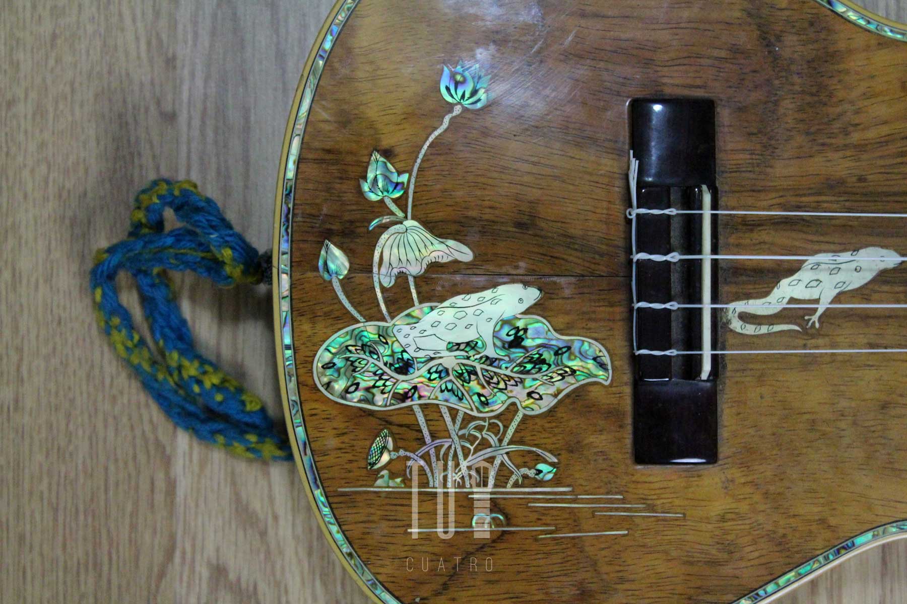 Venezuelan Cuatro and Bandola Courses - TuCuatro - TuCuatro Learn