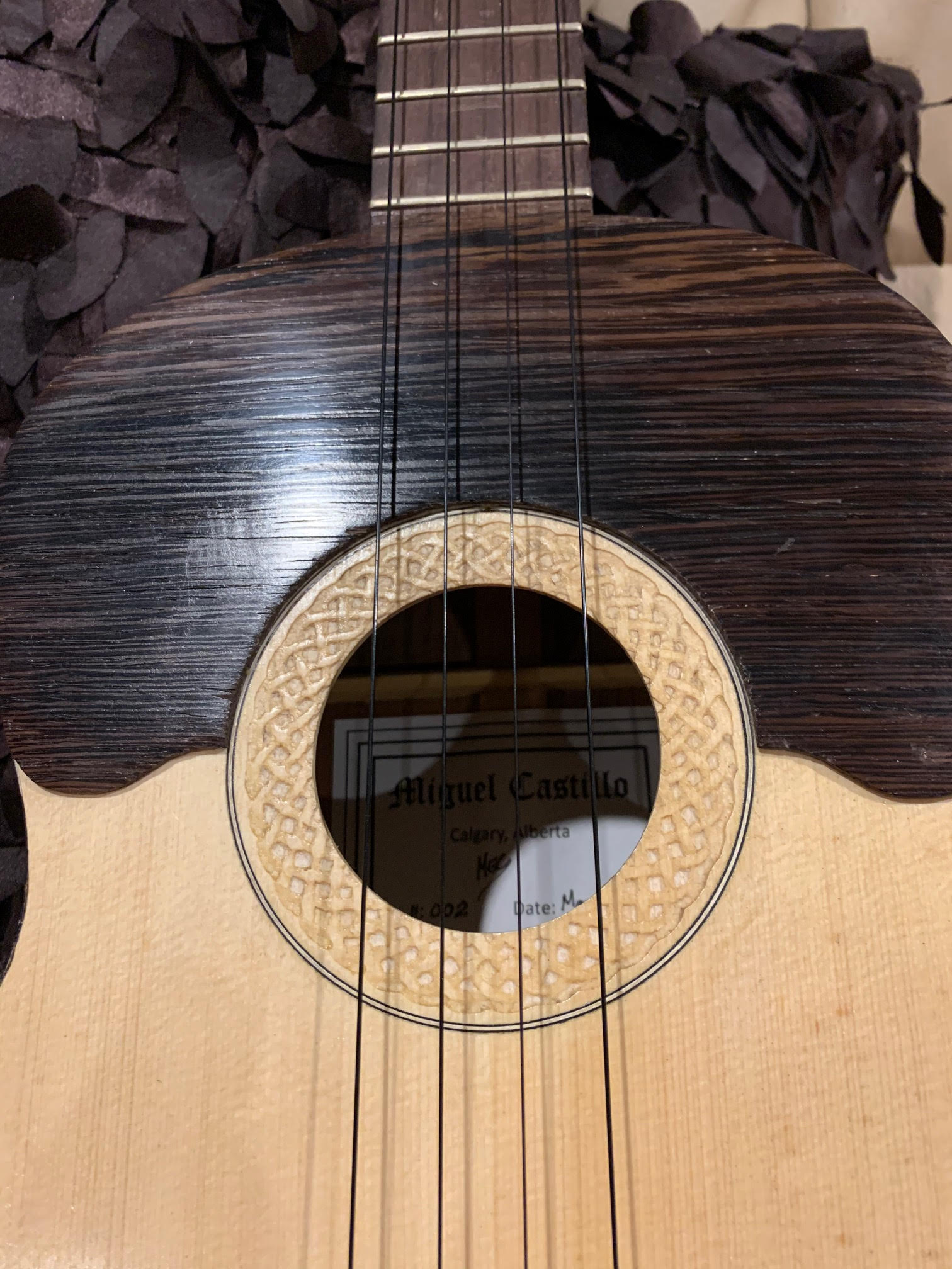 Miguel Castillo, Calgary Canada - Luthier de Instrumentos Musicales